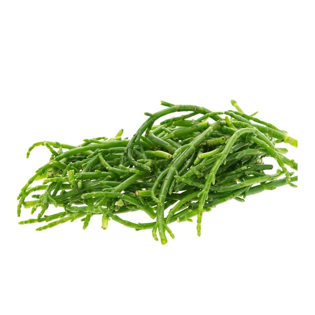 Sea beans – the taste of the ocean | Fruit World – Obstwelt