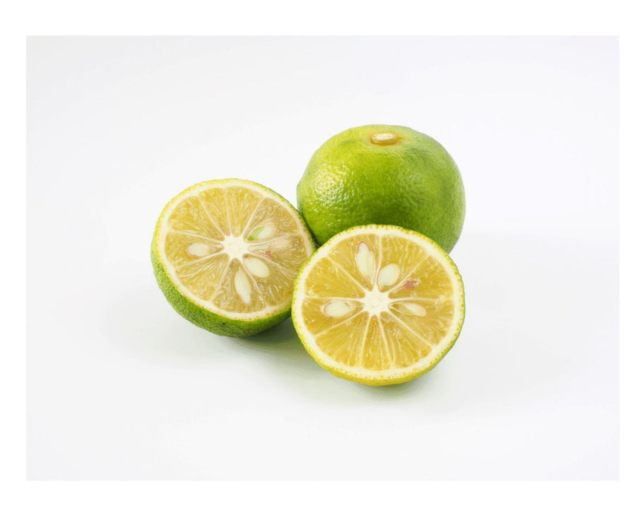 Buy Sudachi Lime | Fruit World – Exotic, fresh & aromatic – Obstwelt