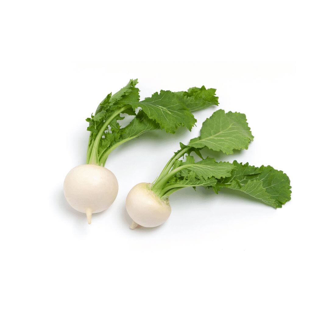 Buy white mini turnips – tender & regional | Fruit World – Obstwelt